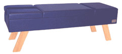 Thomas Chiropractic Tables | Consignment Sales Corporation